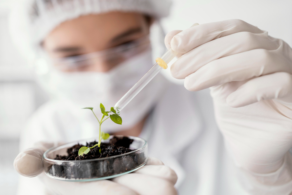 How to Become a Soil and Plant Scientist: Is it the Right Career for You?